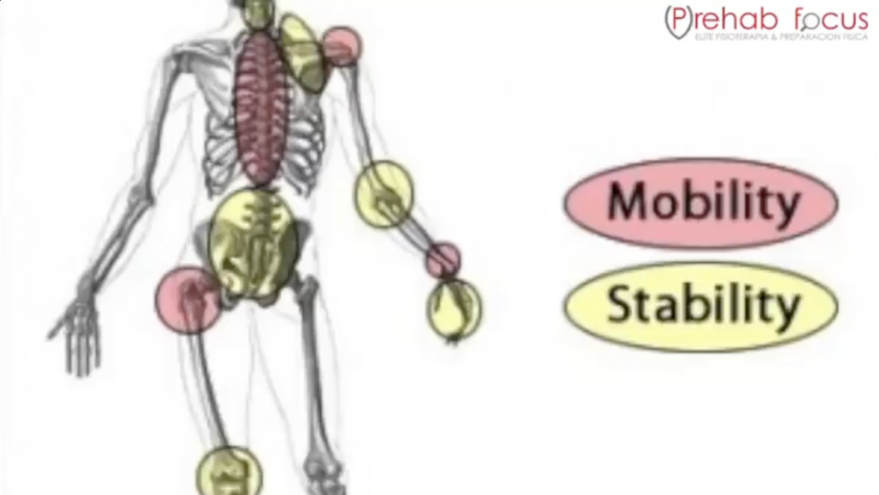 Movilidad y estabilidad - Prehab Focus